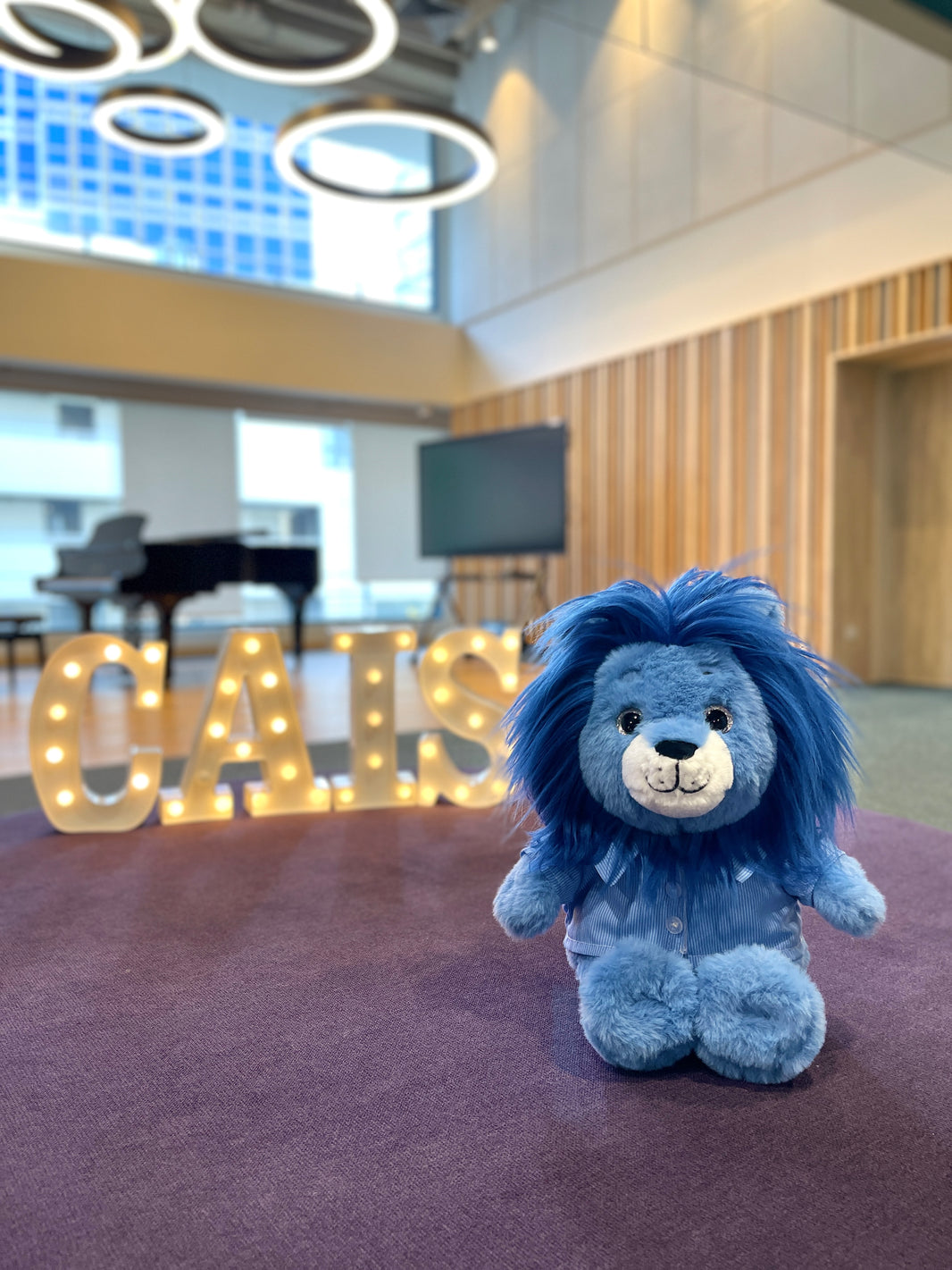 Products – CAIS Lion Shop